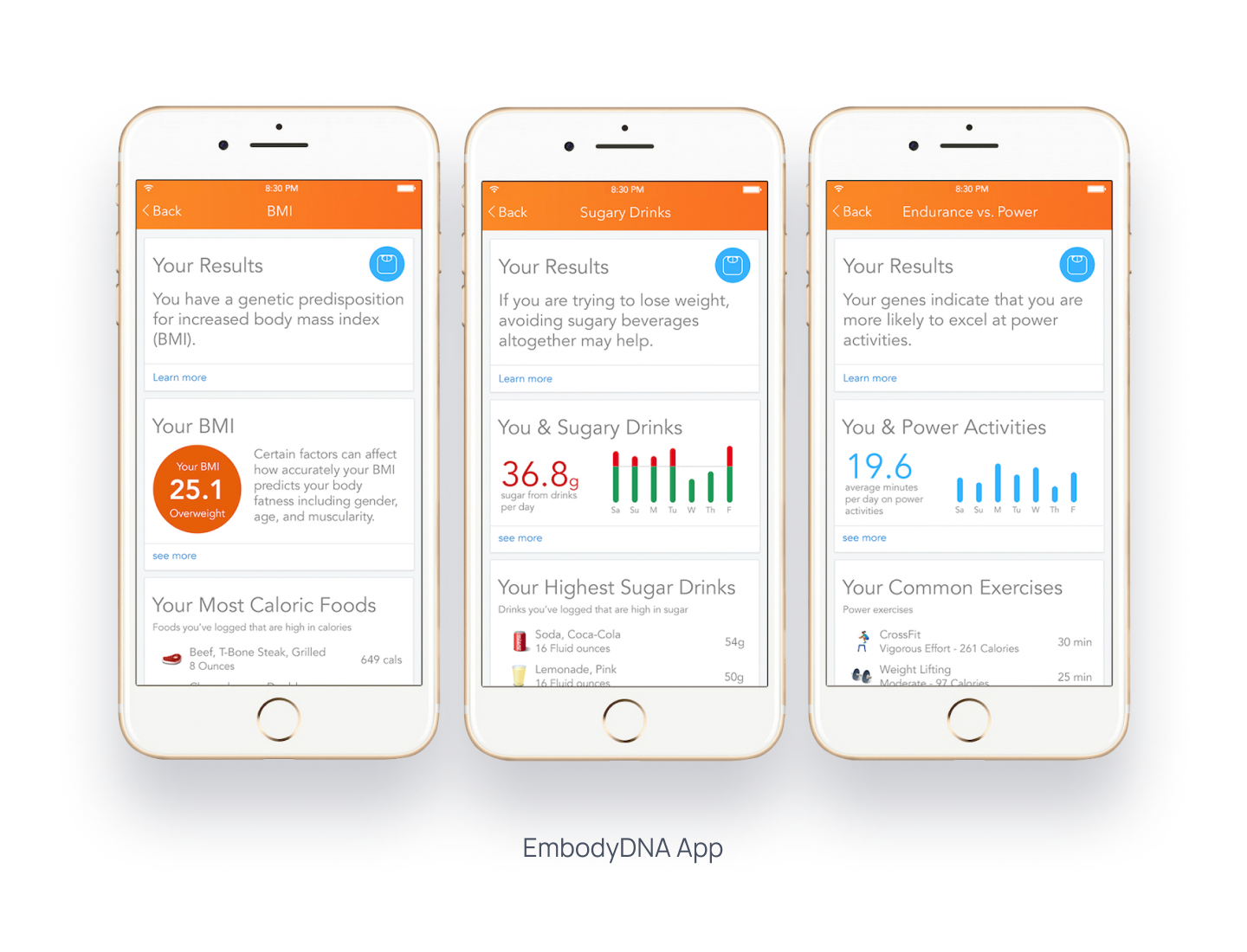 How To Create A Fitness App FULL GUIDE IN 2022 UPDATE JULY How To Create A Fitness App FULL GUIDE IN 2022 UPDATE JULY